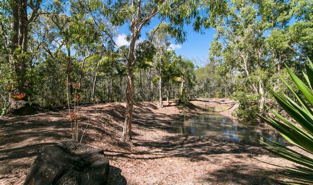 410 Koah Road, Koah, Qld 4881 | Angela Martin Real Estate in Kuranda